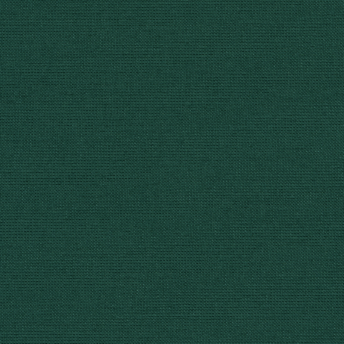 Book Binding Fabric Cloth ~ Amazon Green ~ Choose Cloth size – The ...
